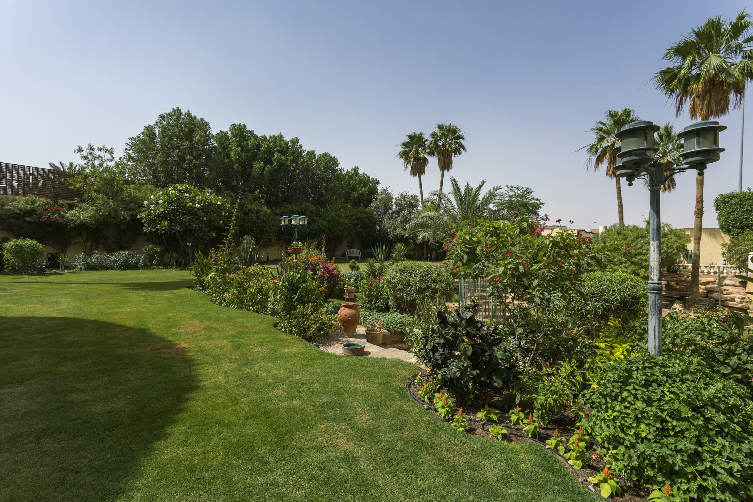 Sustainable Softscape Landscaping for Hot and Arid Climates